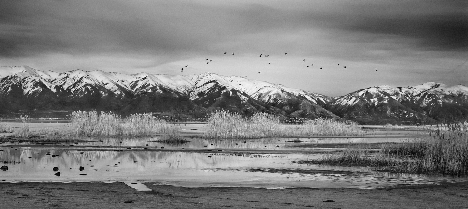 En photo et vidéo, l'âme et la photo par Jakob de Boer | Lense