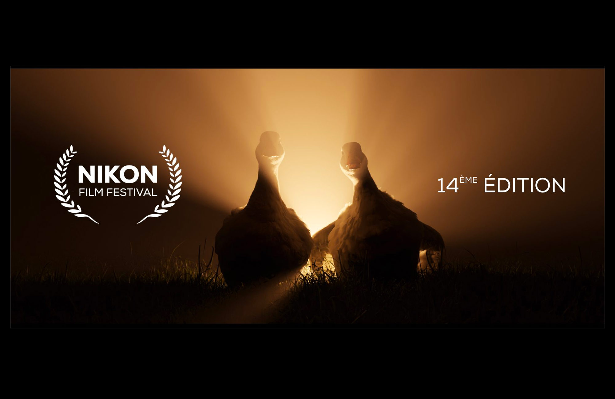 Le feu est le thème du 14e Nikon Film Festival | Lense