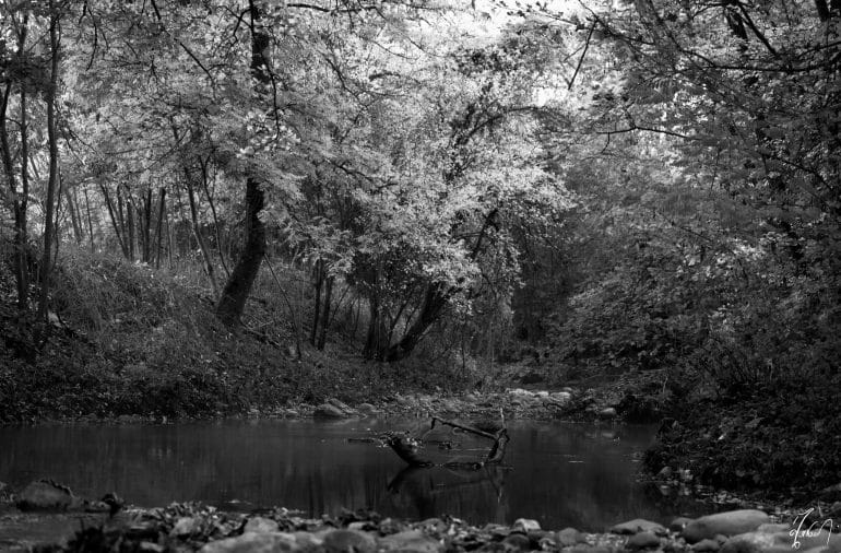 a sad river | Lense