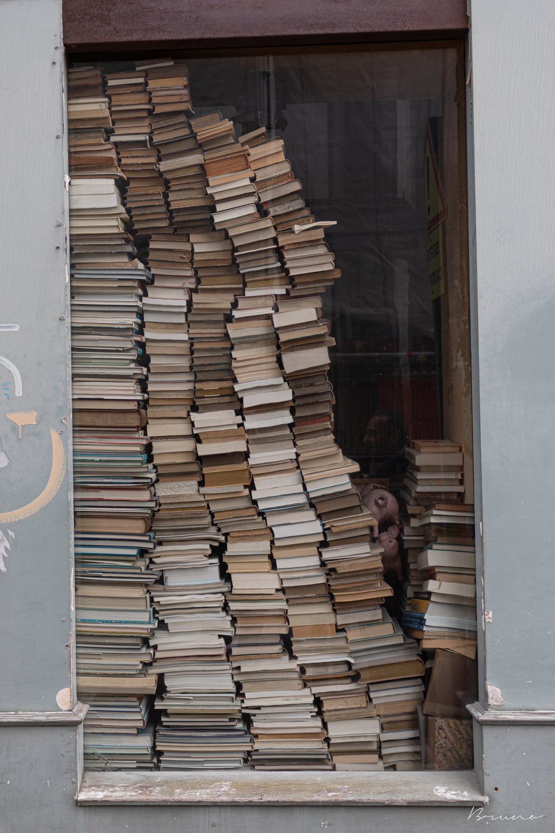 Open Windows to read a book | Lense