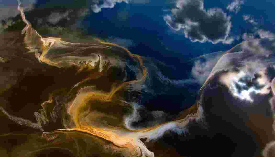 Legacy - Yann Arthus Bertrand | Lense